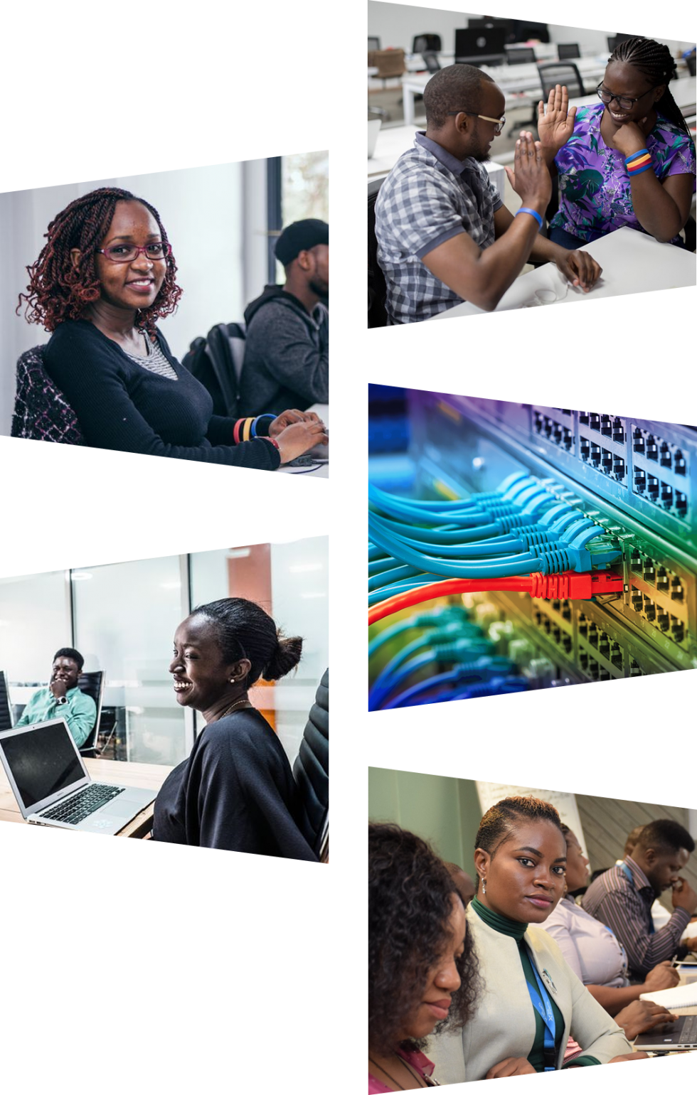 Home - Dove Networks | IT Infrastructure & Software