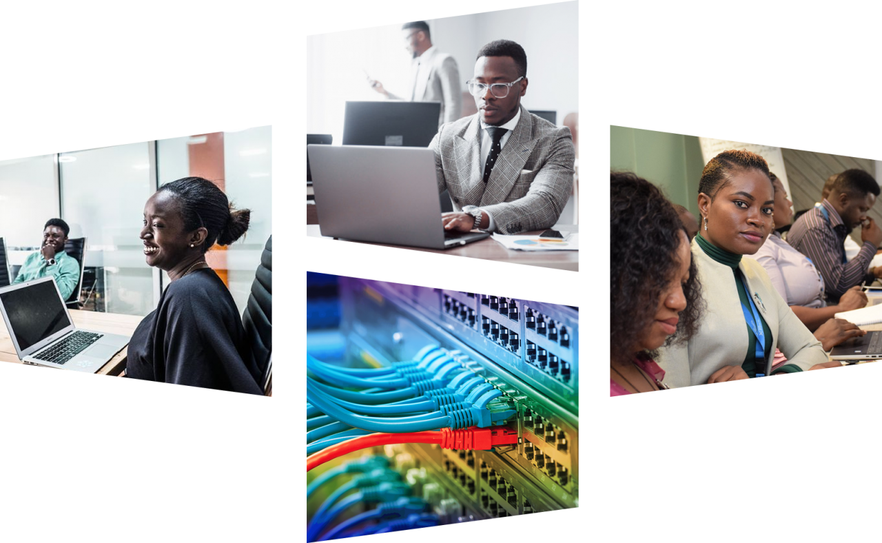 Services - Dove Networks | IT Infrastructure & Software